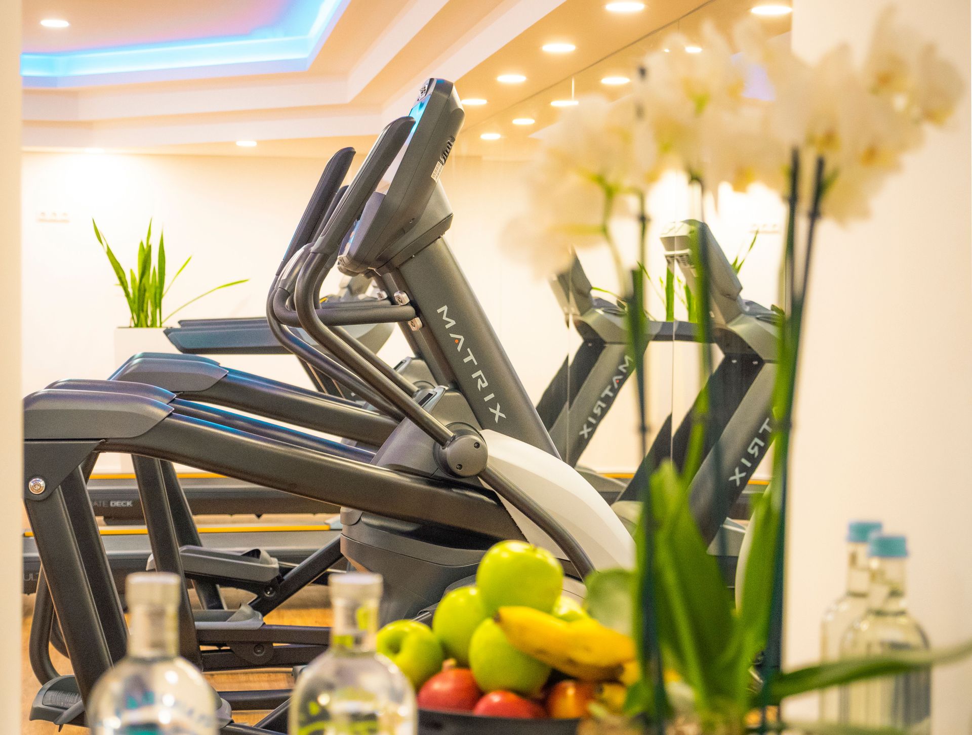 Spa & Wellness in Cologne - Steigenberger Hotel Köln